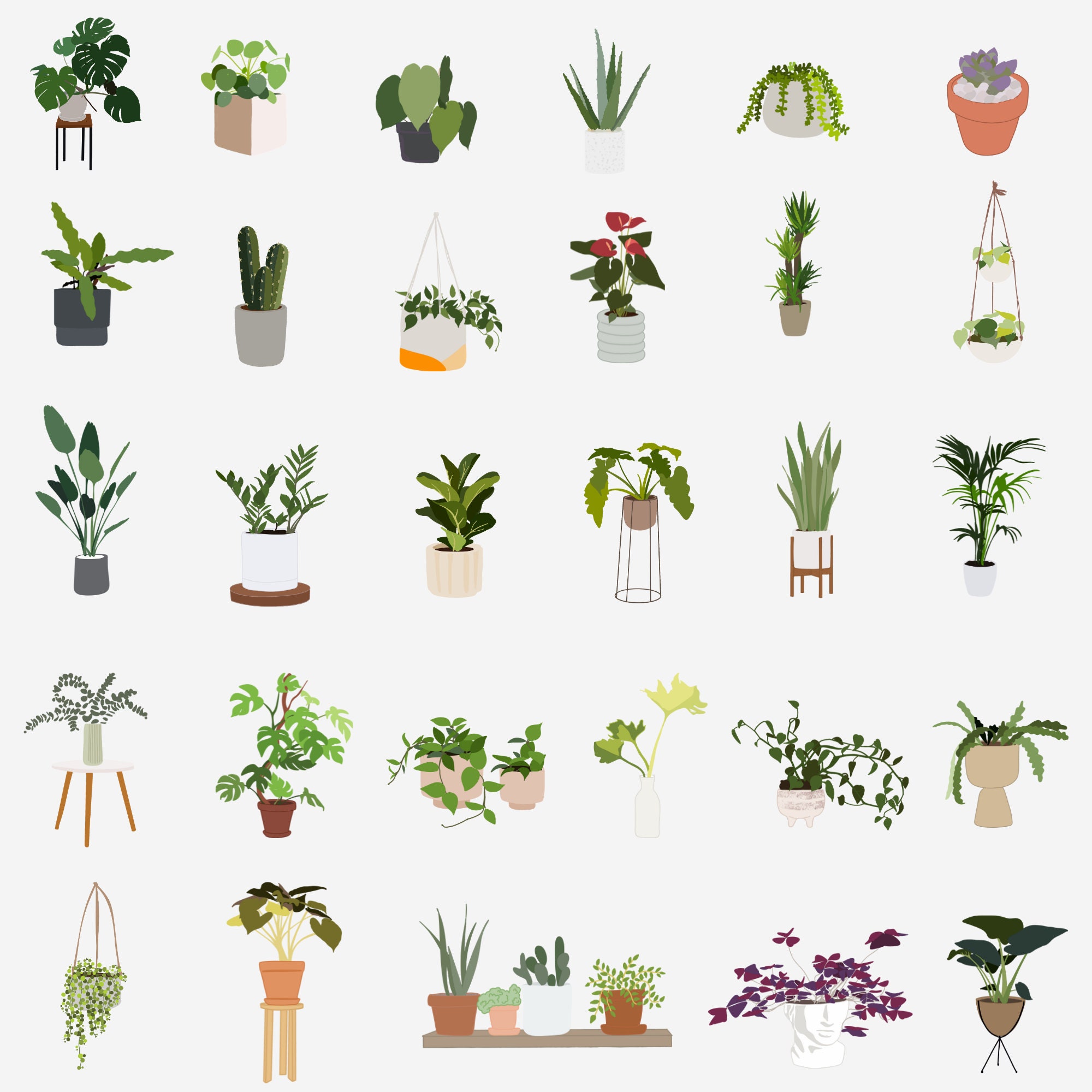 30 House Plant Clip Art Digital Set High-quality PNG - Etsy