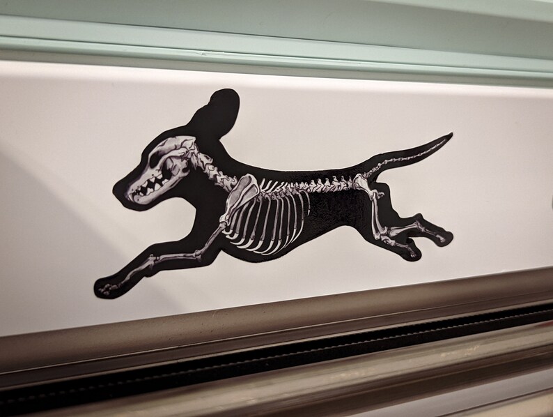 Beagle Dog Skeleton Anatomy Silhouette Vinyl Decal Glossy - Etsy