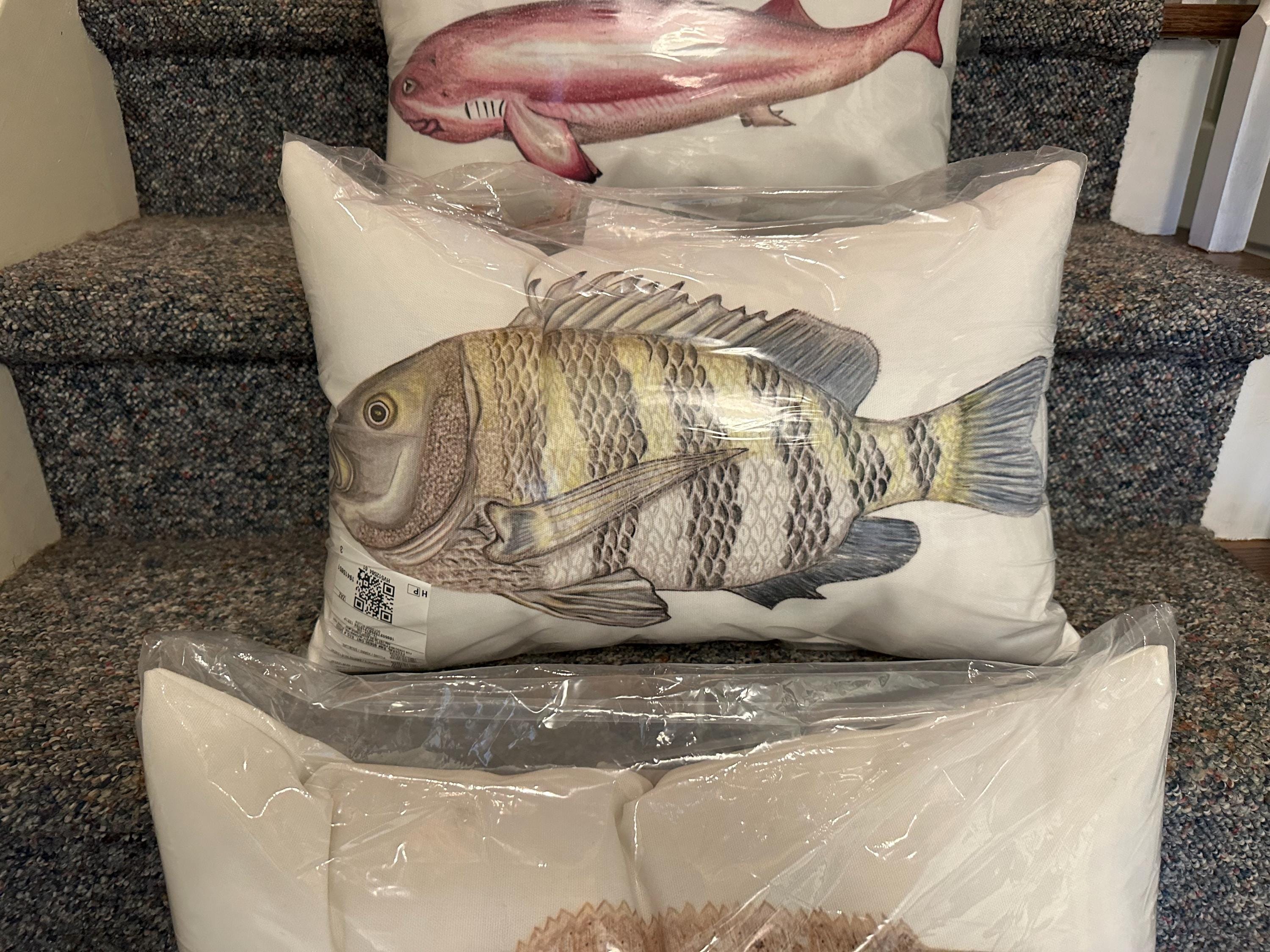 Sheepshead Fish Original Art Canvas Pillow - Etsy