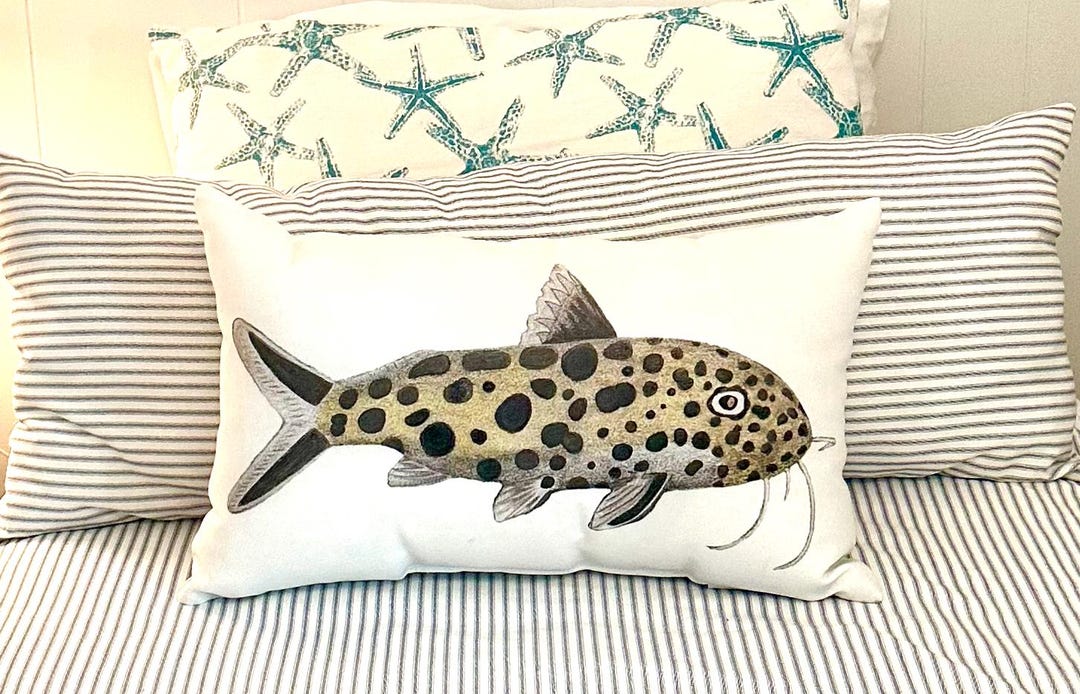 Cuckoo Catfish Cichlid Fish Original Art Canvas Pillow - Etsy