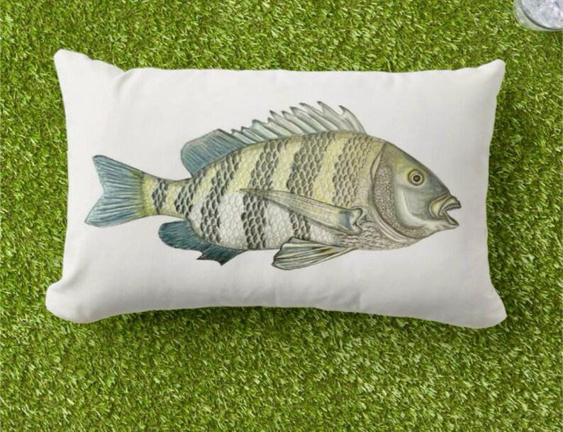 Sheepshead Fish Original Art Canvas Pillow - Etsy