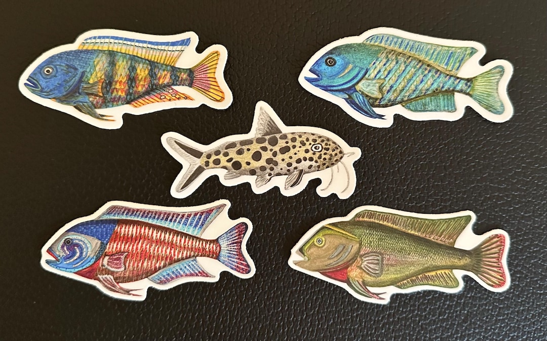 Aquarium Sticker Collection - Cichlids - Etsy