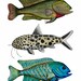 The Full Tank Original Art Canvas Print 18x36 - Etsy