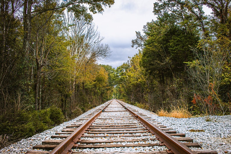 Train Tracks in the Trees, Train Photography, Photo, Digital Download ...