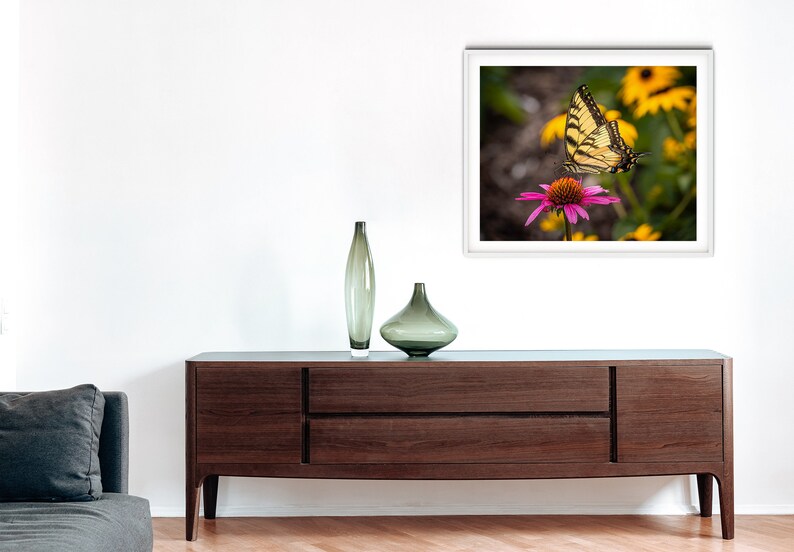 Eastern Tiger Swallowtail Butterfly, Nature Photography, Butterfly ...
