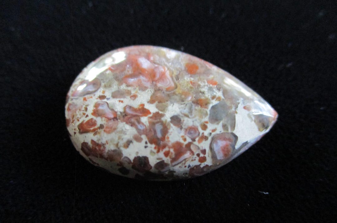 Coprolite -unique Petrified Dino Dung- Pear Shape 26mm X 17.8mm - Etsy