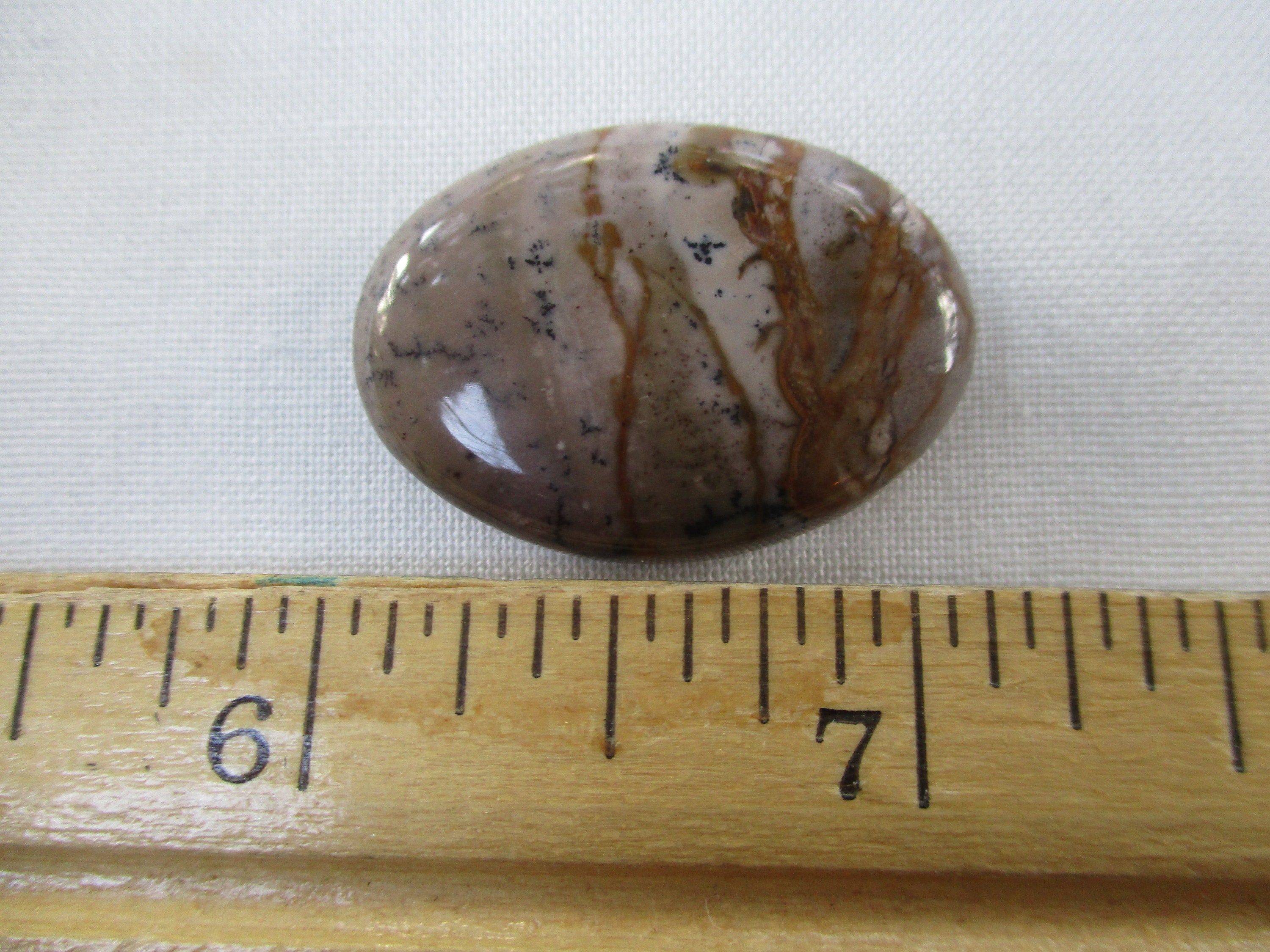 Wasco Biggs Picture Jasper rare Oregon Picture Jasper Hand - Etsy