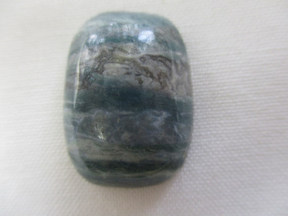 Green Petrified Wood Cab hampton Butte Oregon Rare Green | Etsy