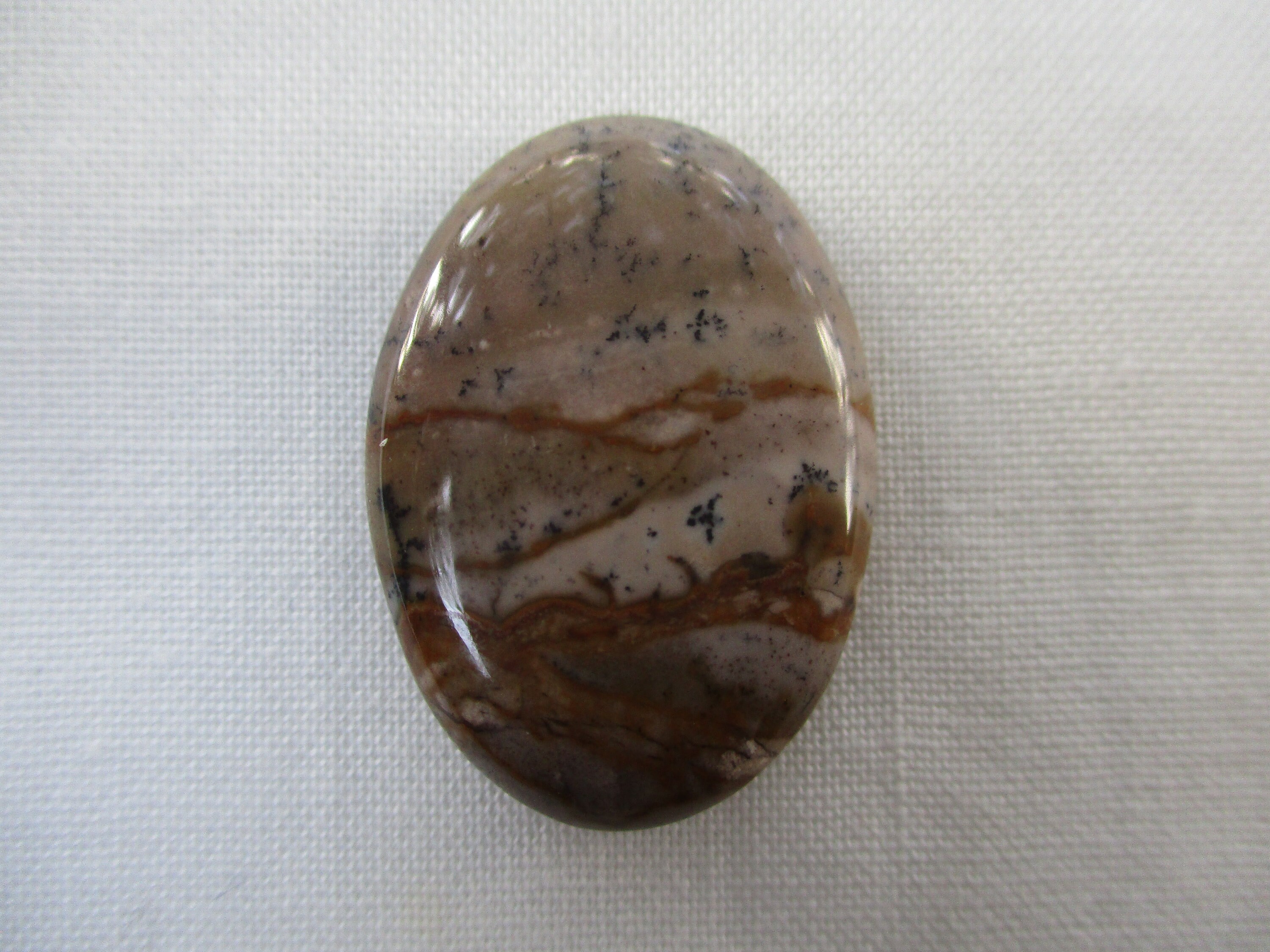 Wasco Biggs Picture Jasper rare Oregon Picture Jasper Hand - Etsy