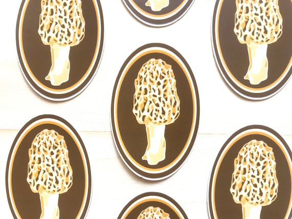 Morel Mushroom 3in Vinyl Sticker waterproof fade resistant | Etsy