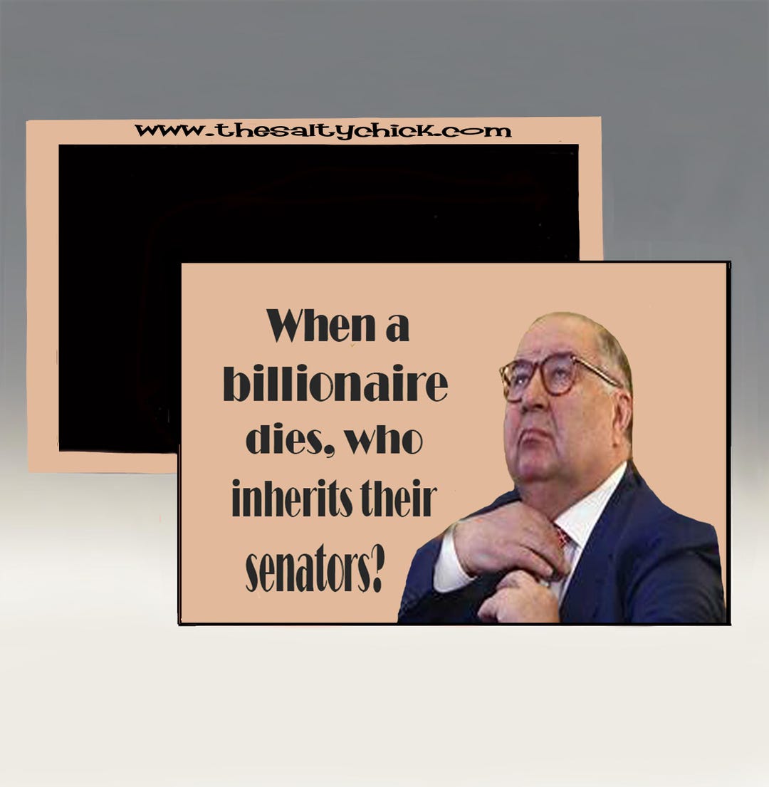 Magnet - When A Billionaire Dies, Who Inherits His Senator?; Political ...