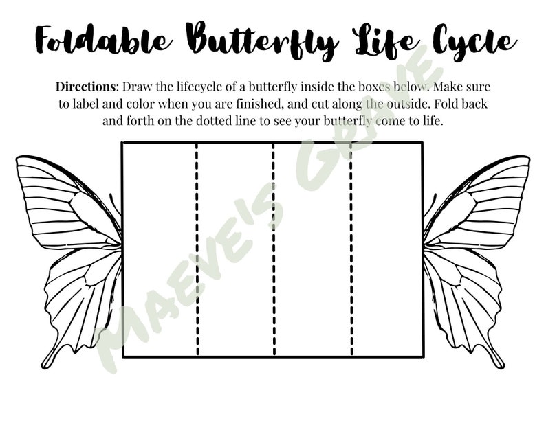Lesson Worksheet Foldable Butterfly Life Cycle - Etsy