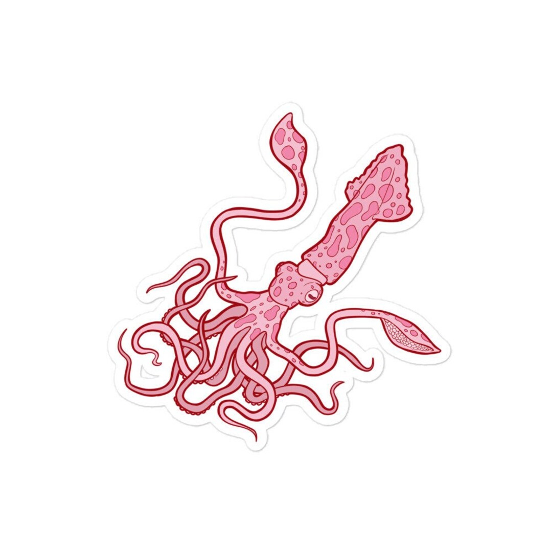 Bubble-free Squid Stickers, Squid Sticker, Marine Life Sticker, Ocean ...