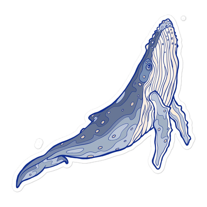 Whale Stickers, Beachy Sticker, Humpback Whale Stickers, Marine Life ...