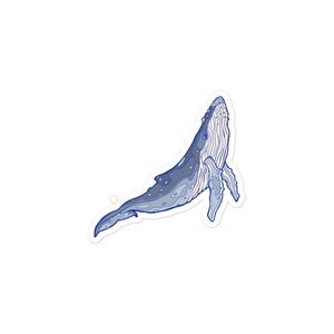Whale Stickers, Beachy Sticker, Humpback Whale Stickers, Marine Life ...