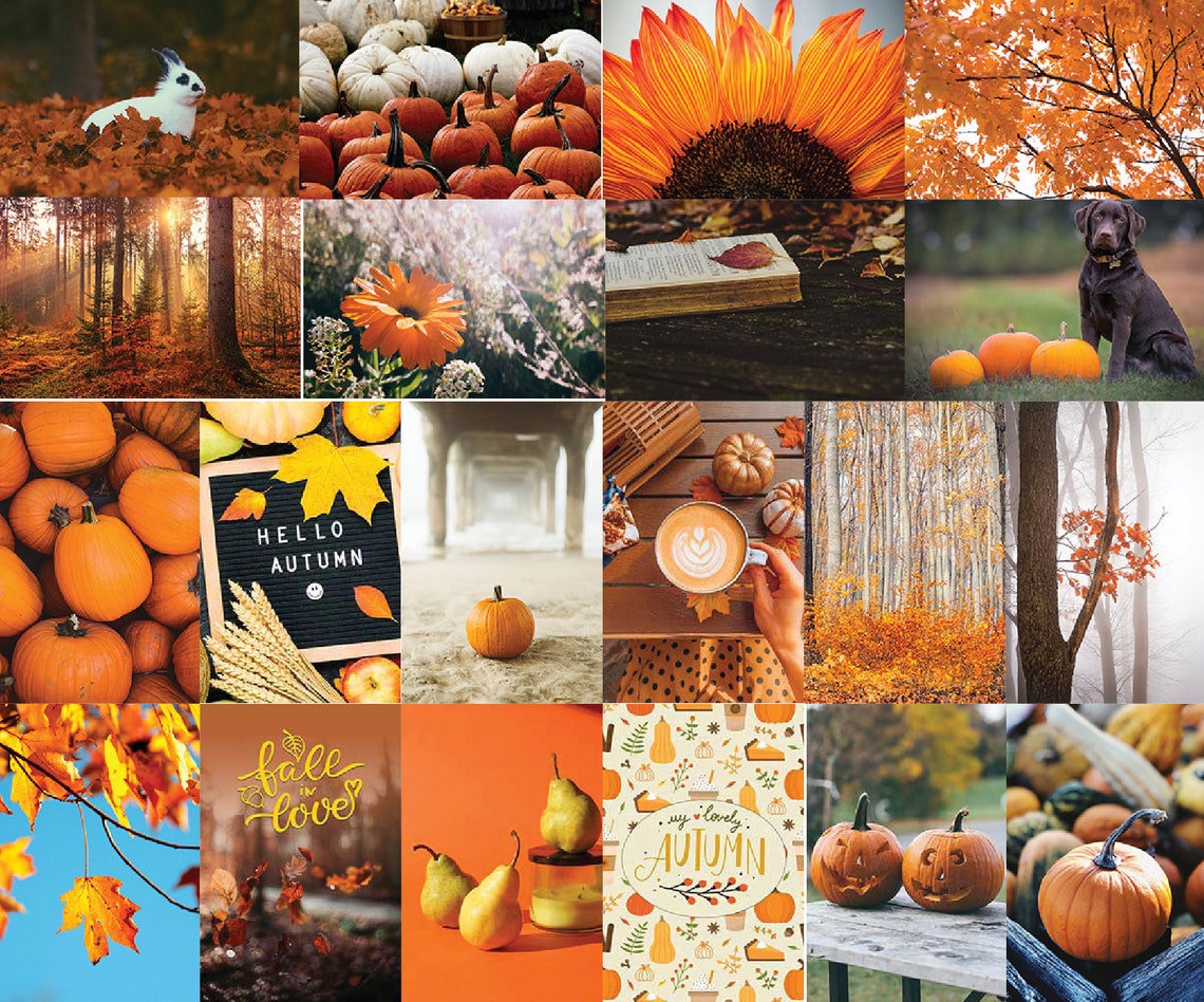 Lovely Autumn Wall Collage Kit - Etsy