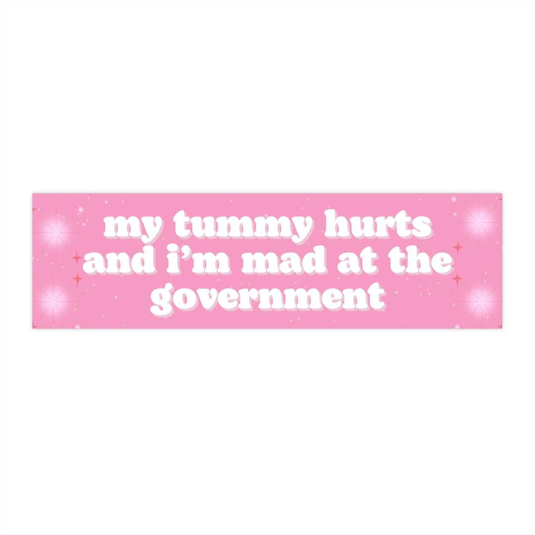 Funny Political Humor Car Bumper Sticker, Quirky Car Decal - Etsy