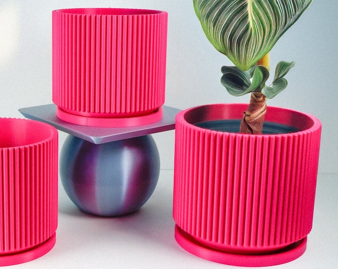 Butt Planter, Male Body Pot, 5 Inch 3D Printed Planter, Housewarming ...