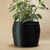 The Conduit Planter Pot With Stand and Water Drip Tray for Indoor Hoya ...