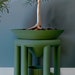 The Conduit Plant Pot With Stand and Water Catch for Indoor Bonsai Pot ...
