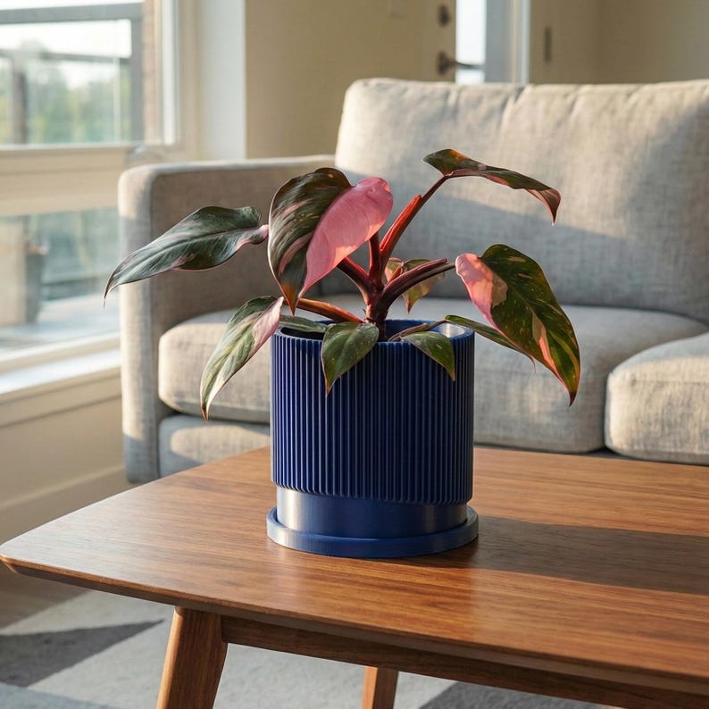 Modern 3D Printed Plant Pot for Plants with Drainage & Saucer - Wave ...