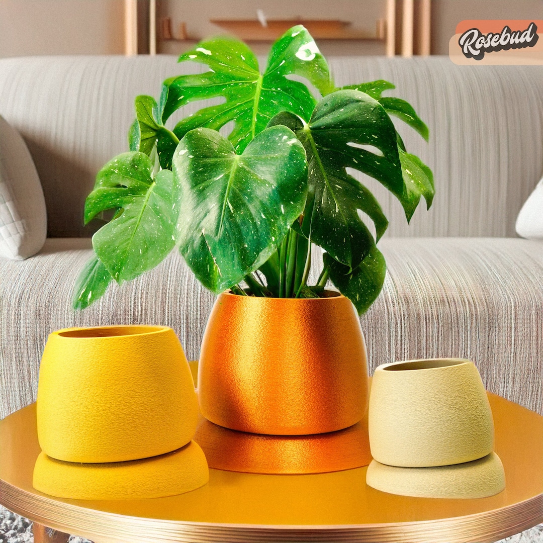Bespoke Ceramic Planter Pot With Drainage and Unique Drip Tray, Great ...