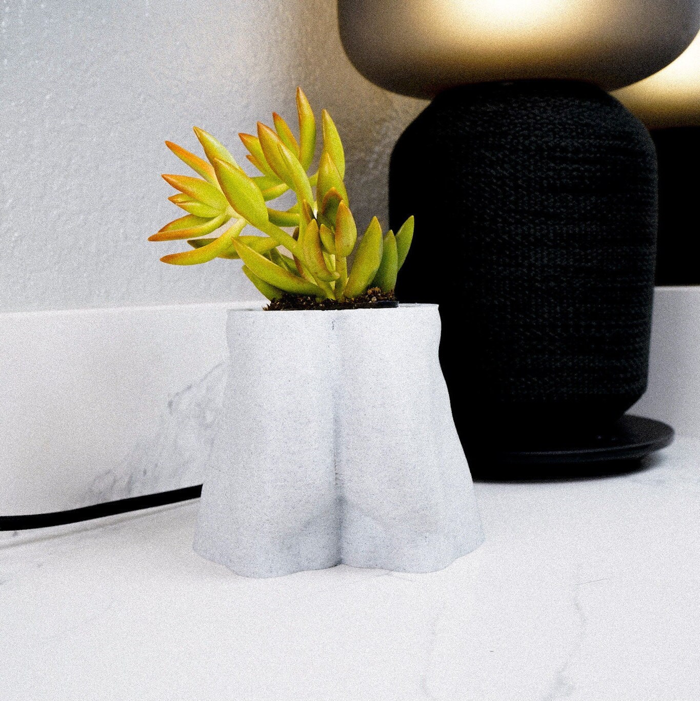 Marble Male Body Pot Muscle Butt Planter 5 Inch 3D Printed - Etsy