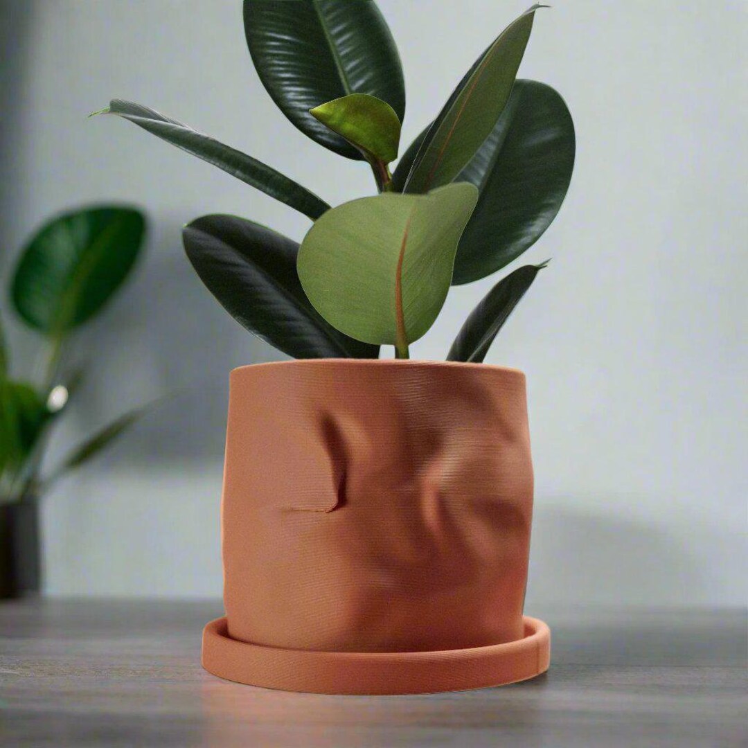 Unique Plant Pot Cute , Arezzo Small Plant Pots With Drainage and ...