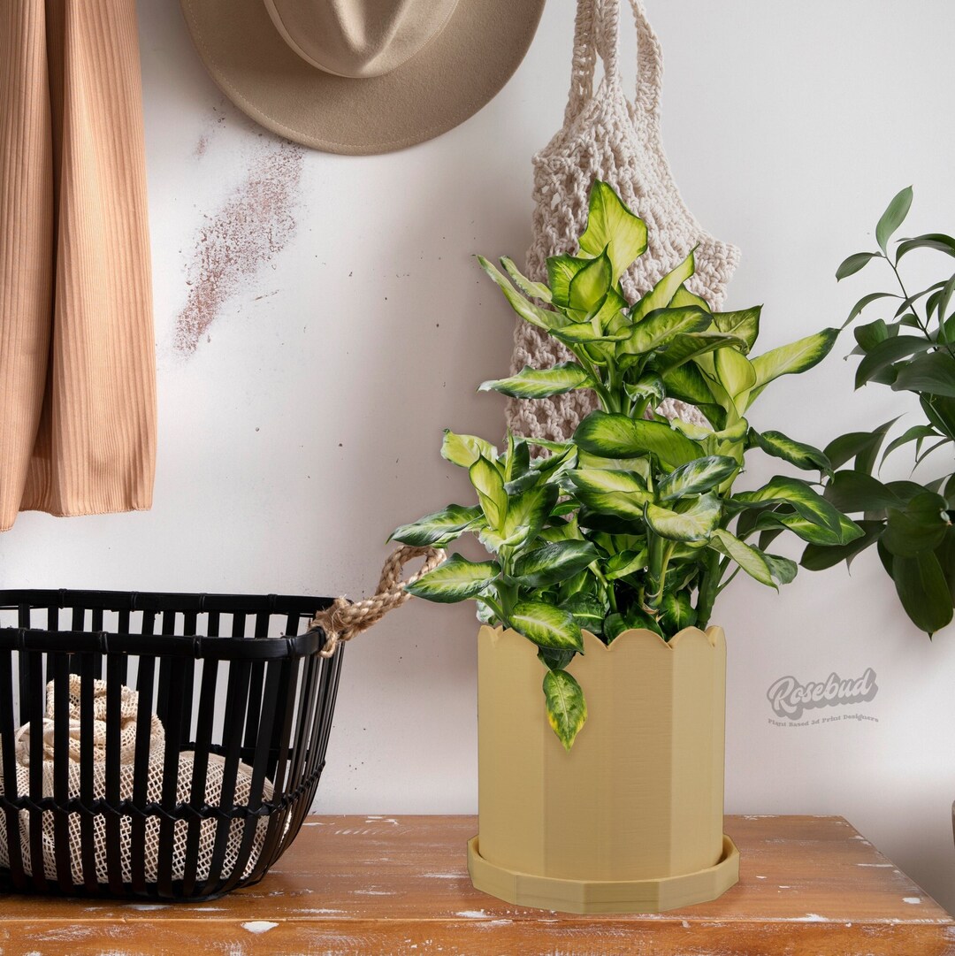 Unique Plant Pot in Matte Beige, Mid Century Modern Pots With Drainage ...