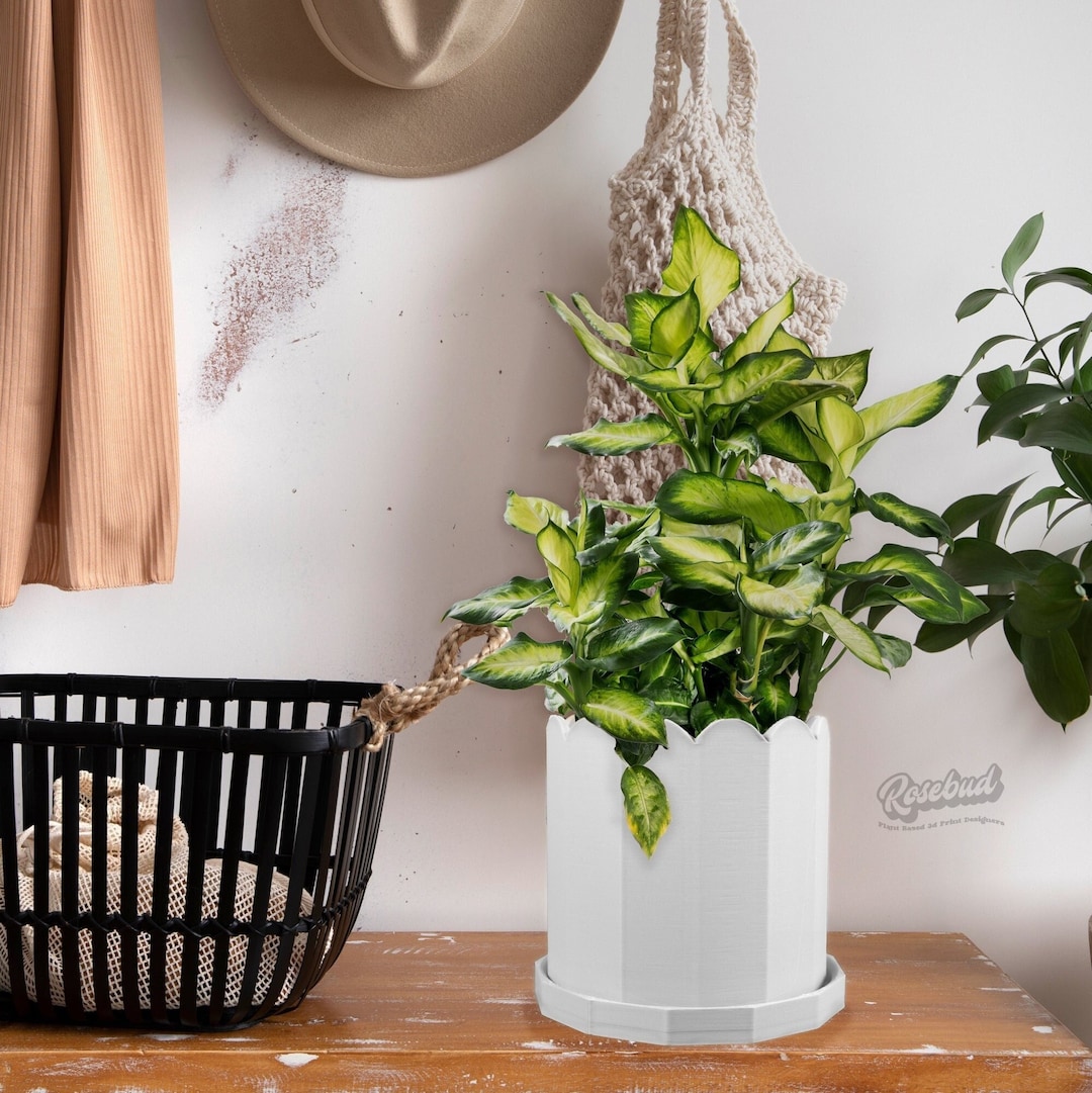 Unique Planter Pot in Matte White Modern Pots With Drainage - Etsy