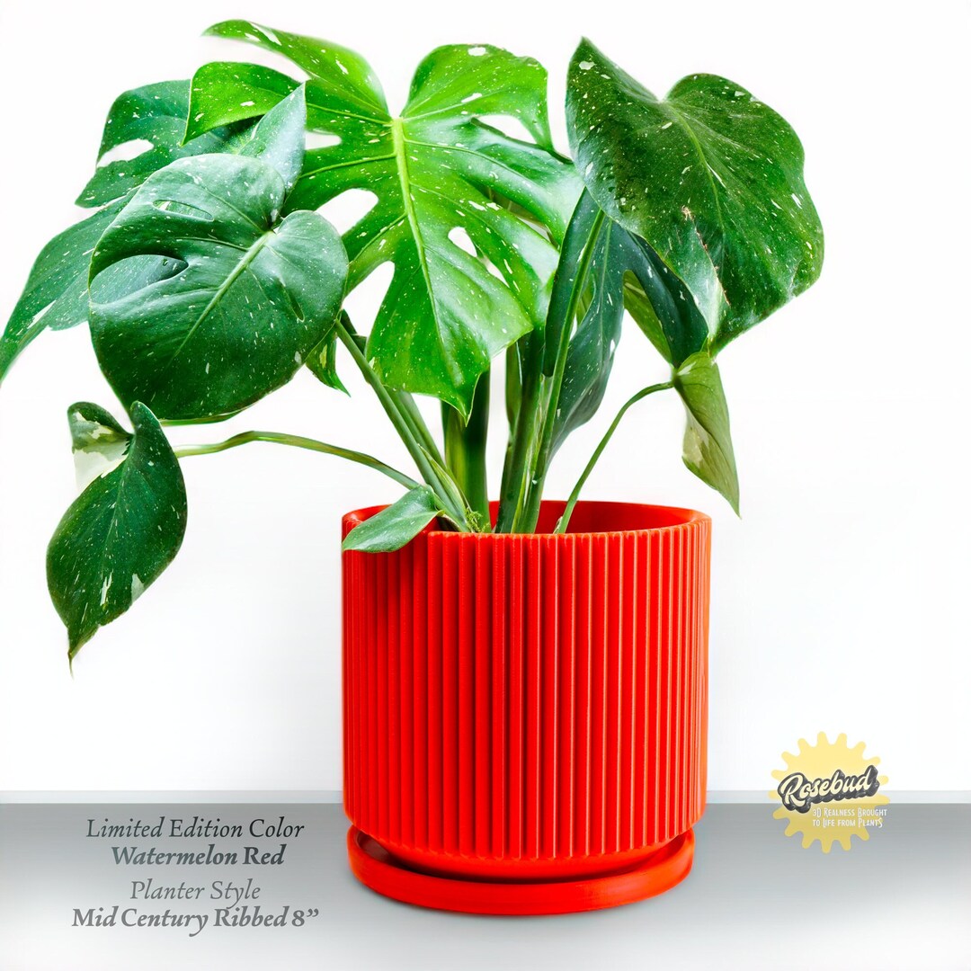 Mid-century Ribbed Planter With Drainage and Saucer in Matte Terracotta ...