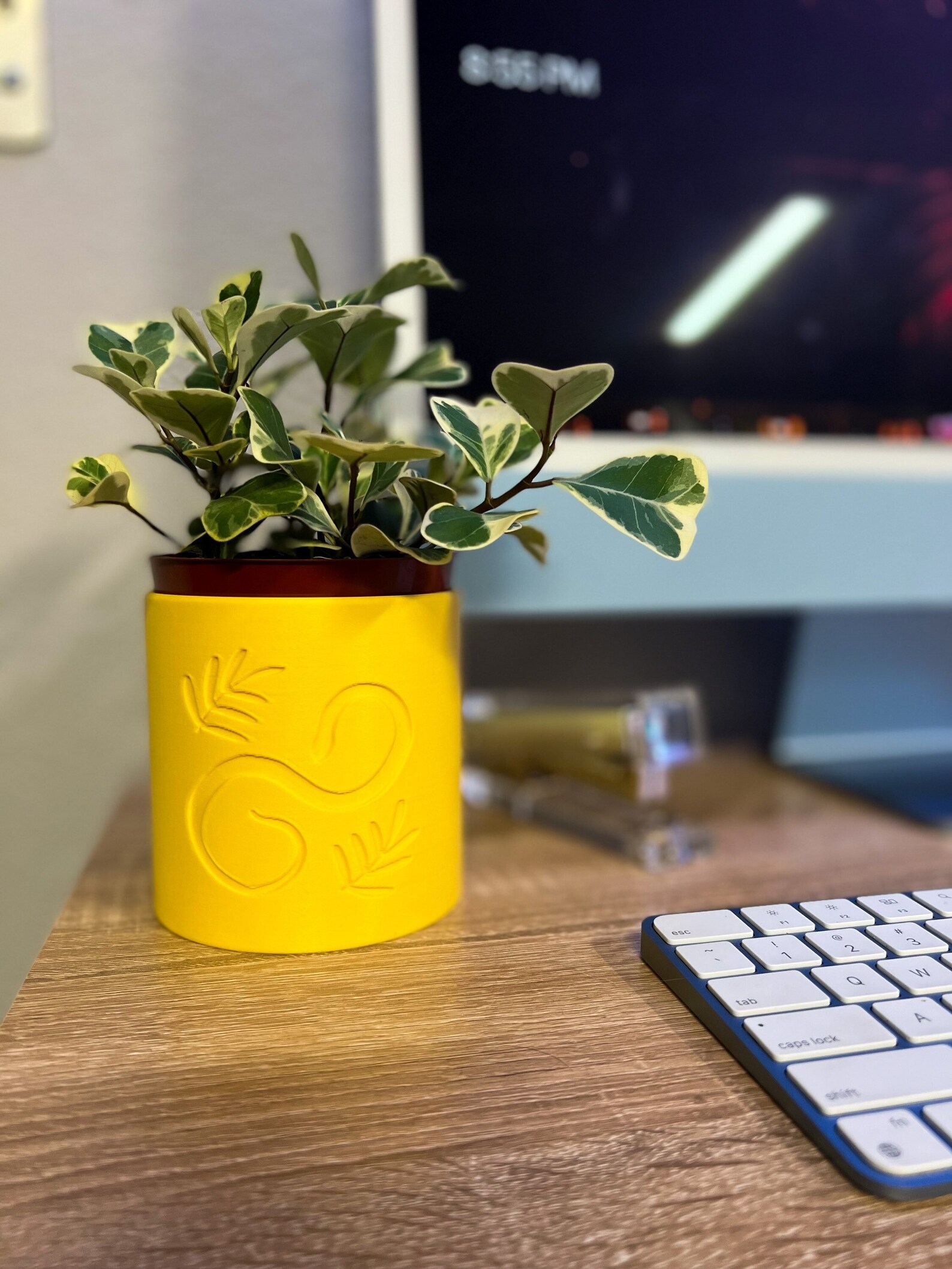 Snake Planter, 3D Printed Planter, Planter With Drainage, Planter With ...