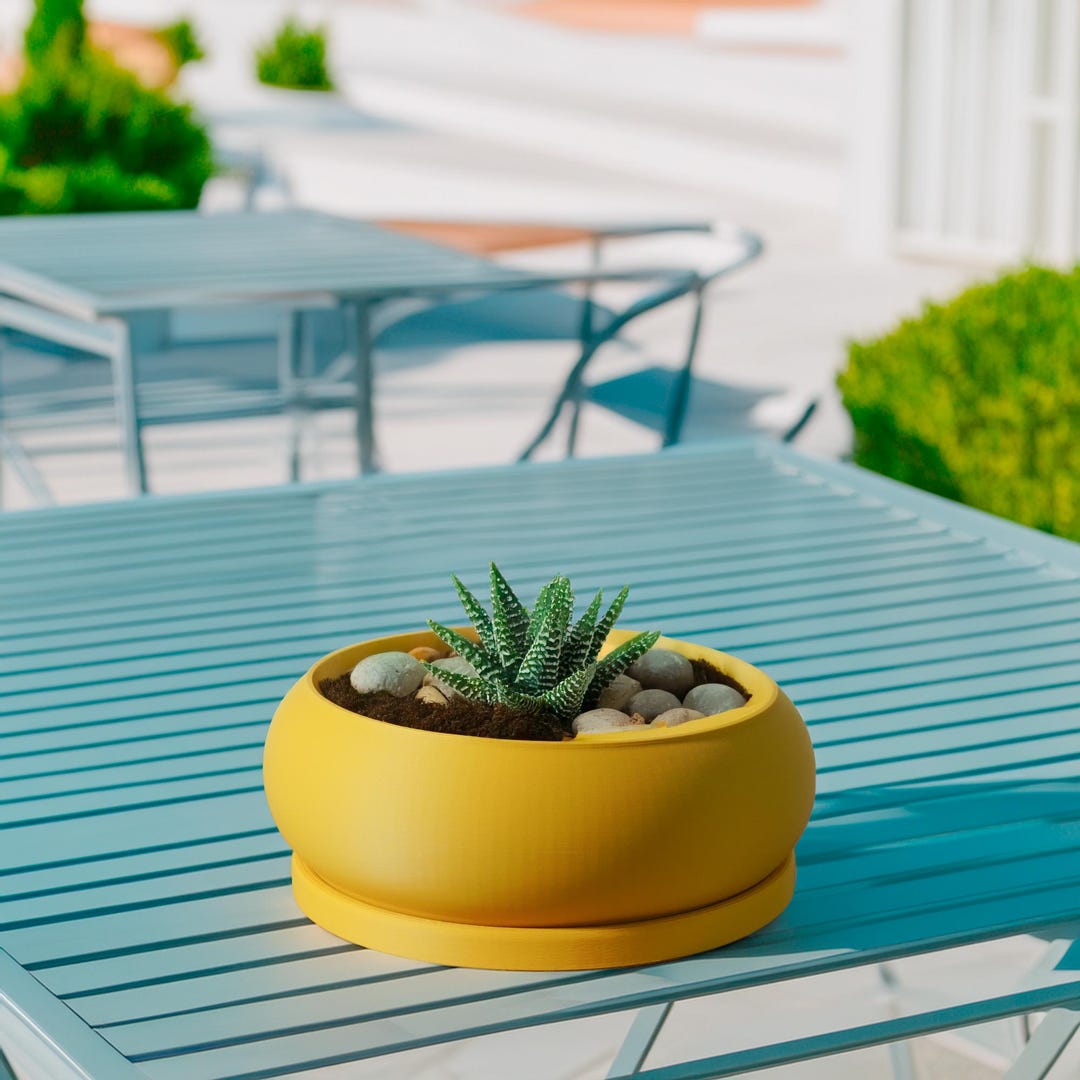 Bubble Plant Pot Unique, Single Ring Planter Pots With Drainage and ...