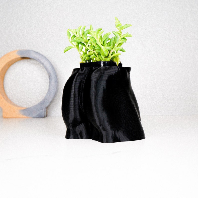 Butt Planter Male Body Pot 5 Inch 3D Printed Planter - Etsy