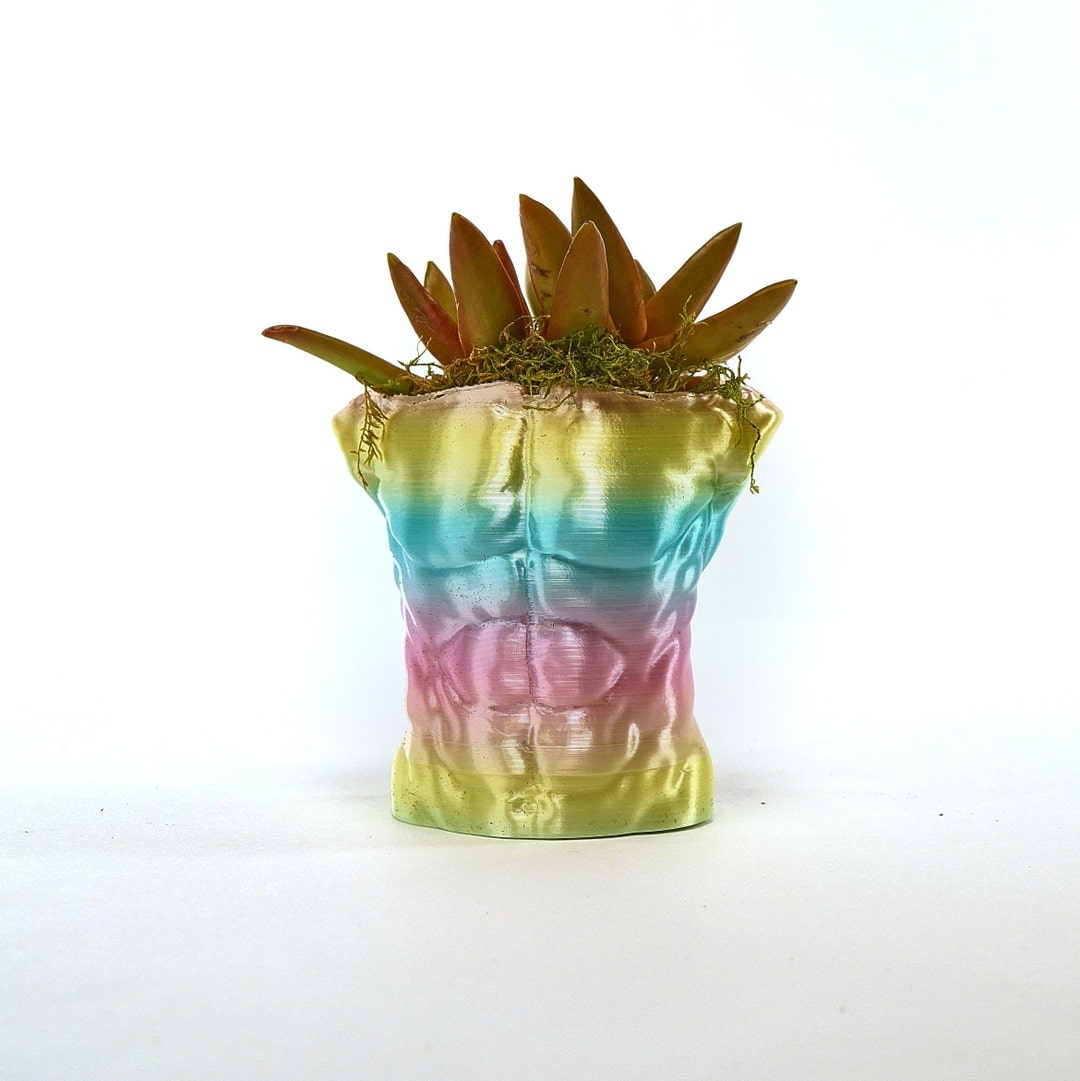 Rainbow Torso Planter, Booty Plant Pot, Succulent Holder, Pride ...