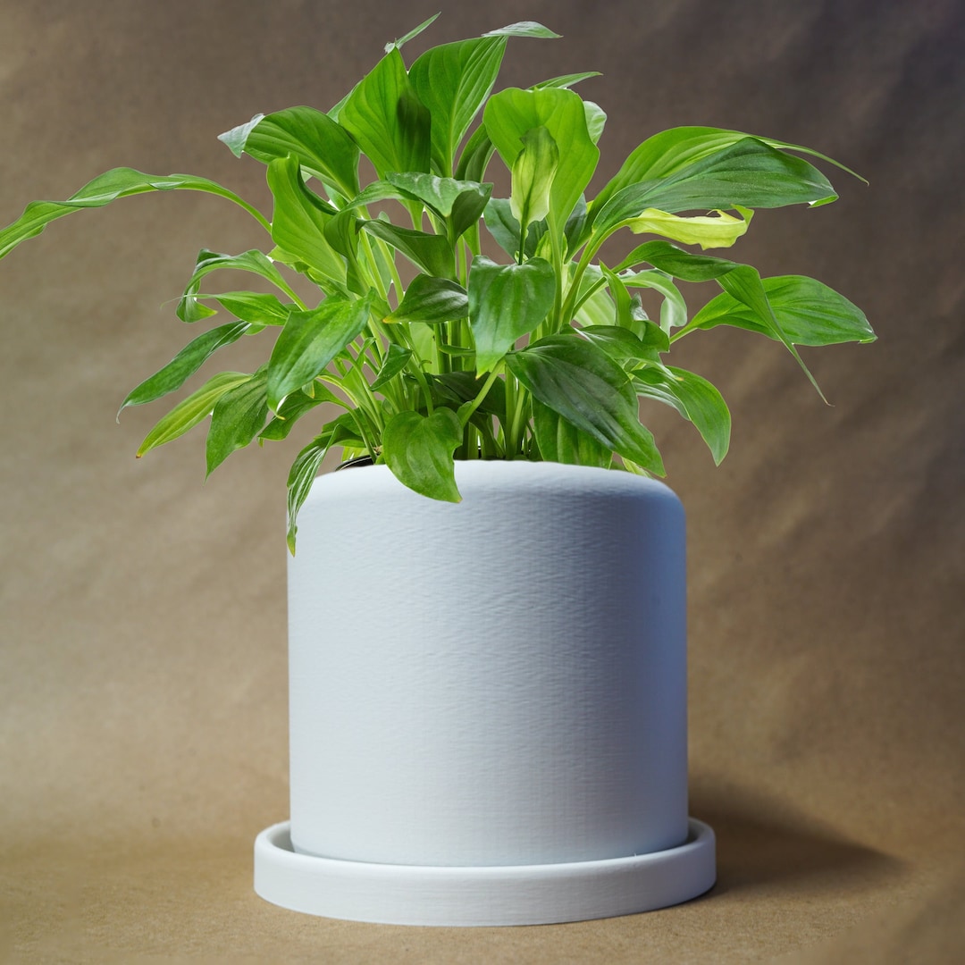 Small Plant Pot in Matte White, Simple Pots With Drainage and Saucer ...