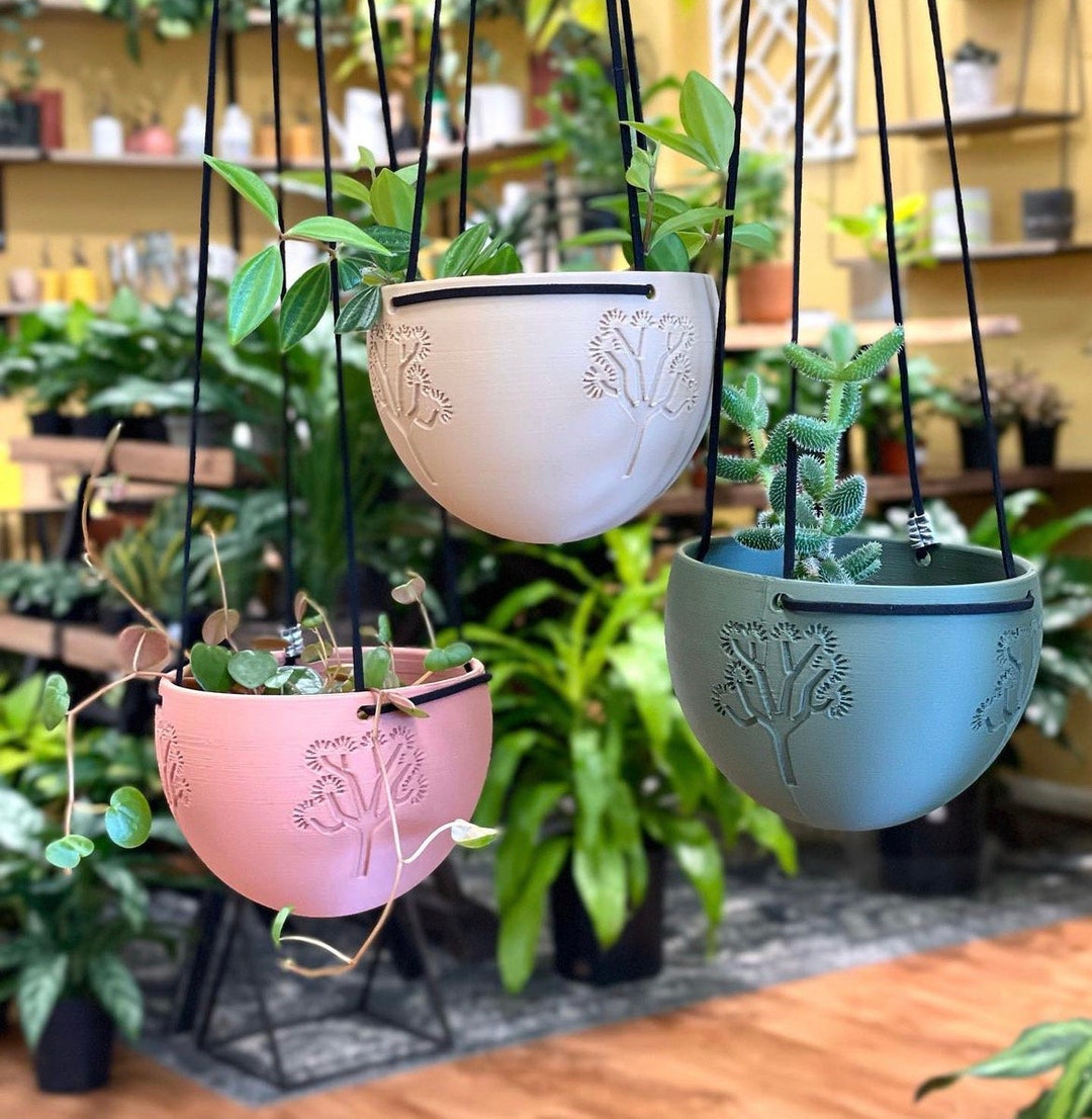 Hanging Planter Indoor, 3D Printed Planter, Wall Planter Joshua Tree ...