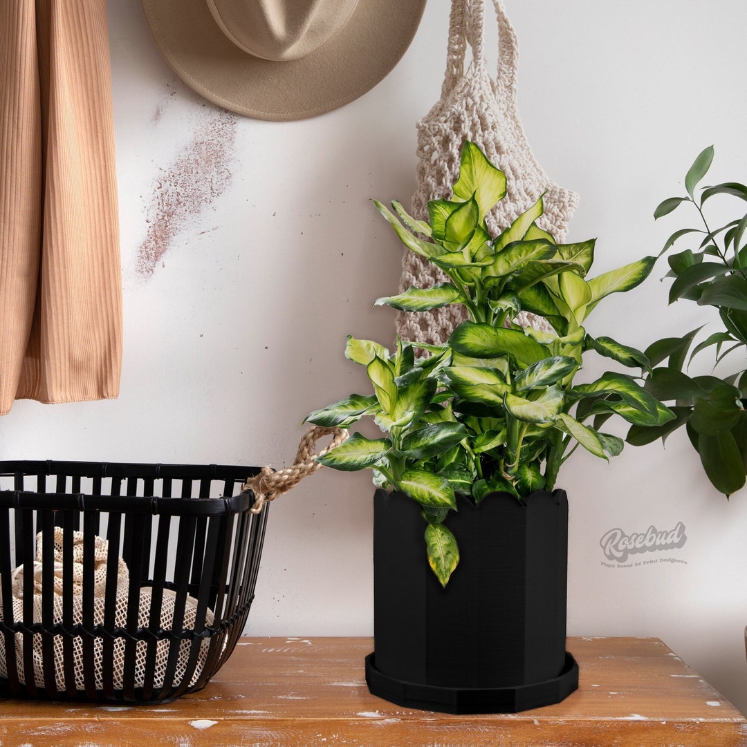 Unique Plant Pot With Drainage and Saucer, Mid Century Modern Pots in ...