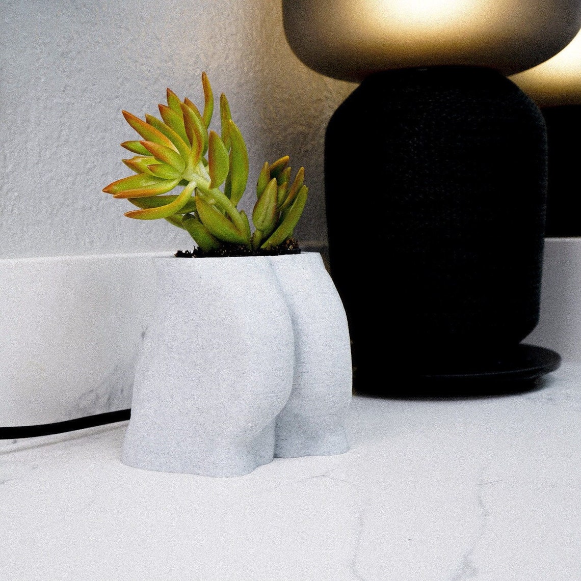 Marble Male Body Pot Muscle Butt Planter 5 Inch 3D Printed - Etsy