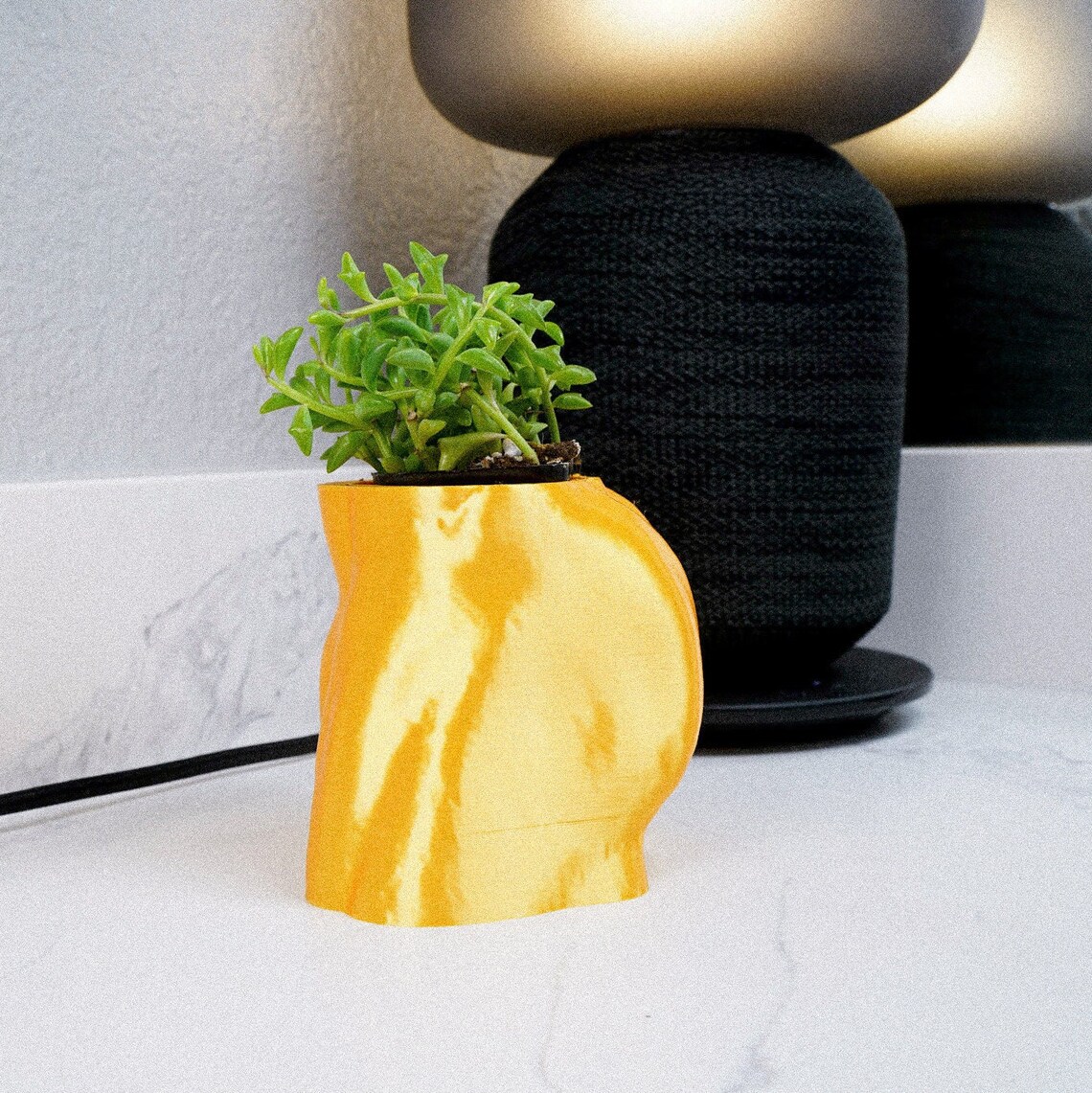 Butt Planter Silky Male Body Pot 5 Inch 3D Printed Planter - Etsy
