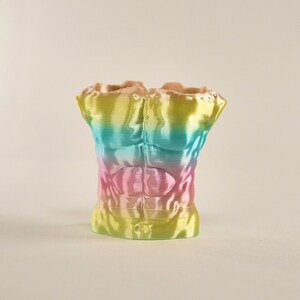 Rainbow Torso Planter, Booty Plant Pot, Succulent Holder, Pride ...