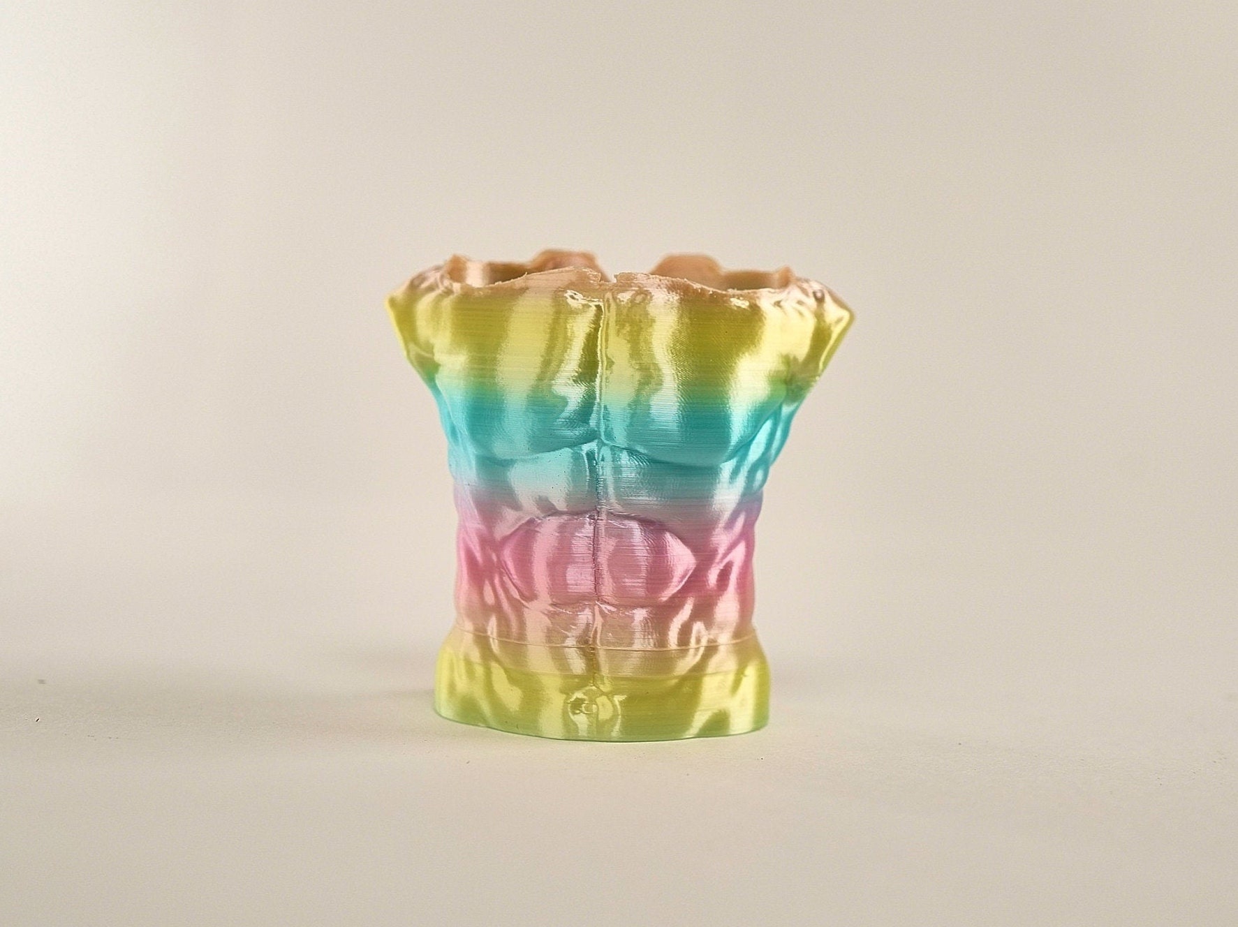 Rainbow Torso Planter Booty Plant Pot Succulent Holder - Etsy