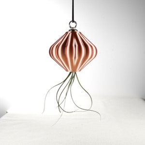 Air Plant Planter, 3D Printed Planter, Magnetic Hanging Pot, Upside ...