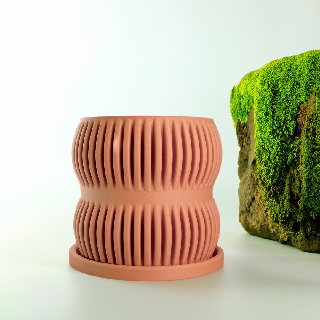 Cute Plant Pot Unique, Pots With Drainage and Saucer, Modern Orchid ...