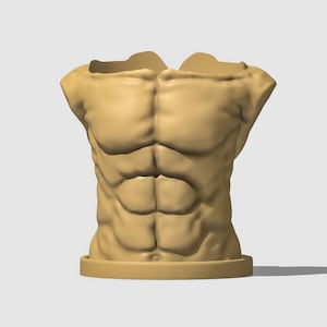 Masc Torso Plant Pot, 3D Printed Planter, Unique Queer Art, Male Abs ...