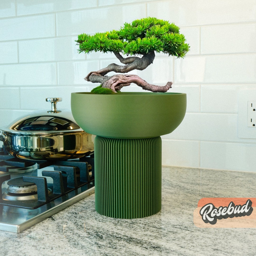 The Pedestal Plant Pot With Stand and Water Catch for Indoor Bonsai Pot ...