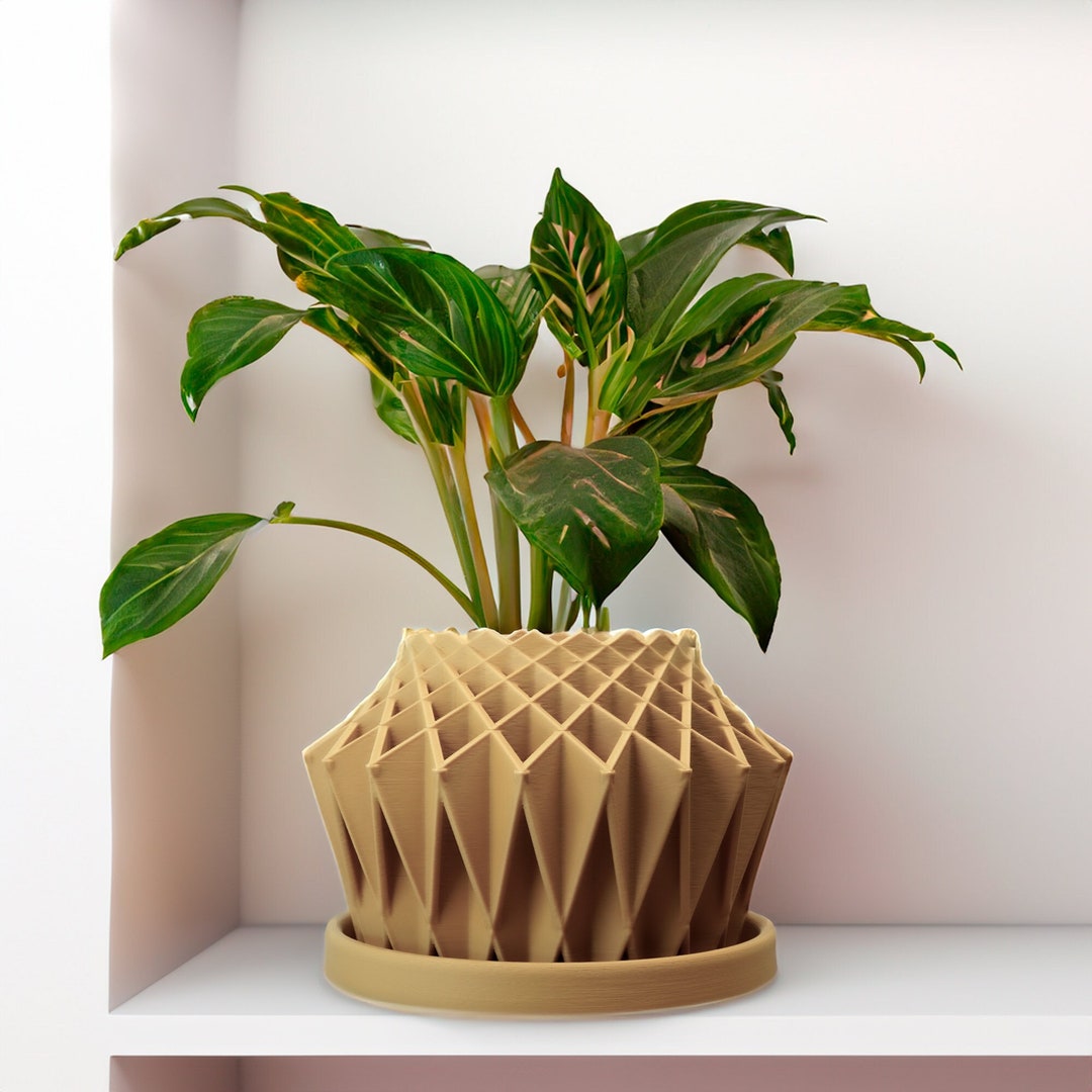 Hypebeast Home Decor Plant Pot With Drainage and Saucer, Modern Planter ...