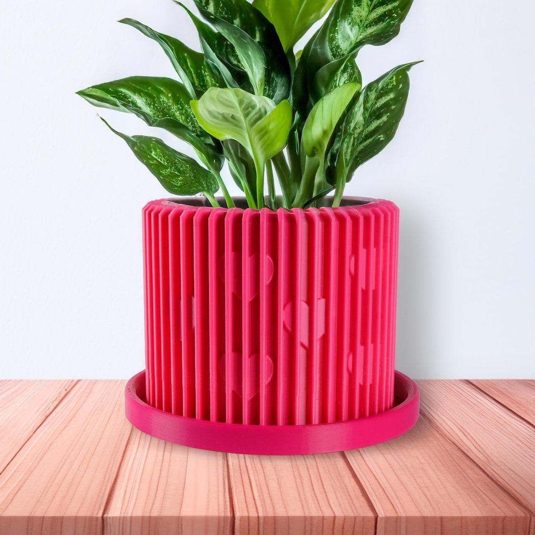 Modern Heart Plant Pot With Drainage & Saucer – Unique Valentine’s Day ...