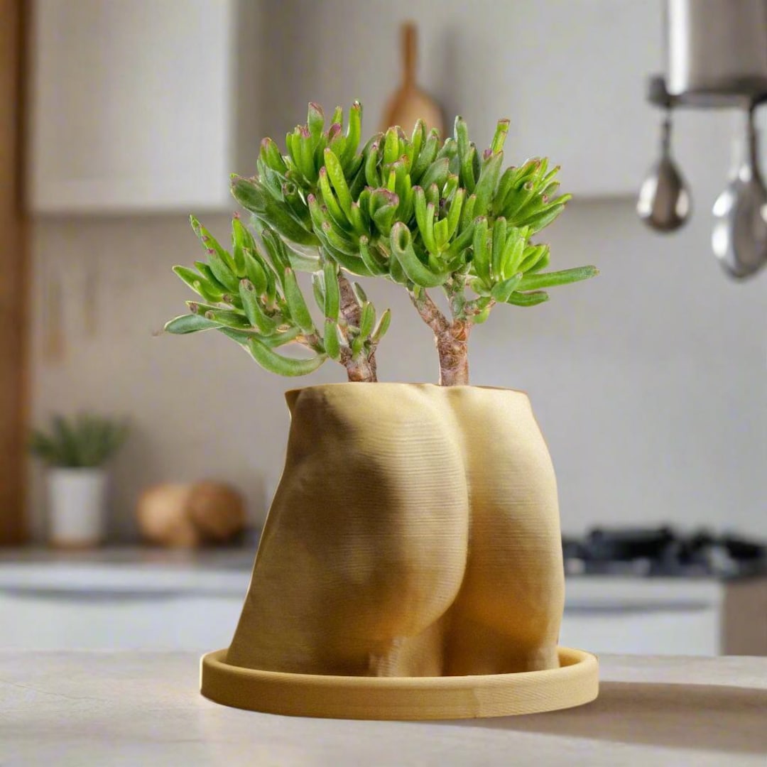 Butt Planter, Male Body Pot, 5 Inch 3D Printed Planter, Housewarming ...