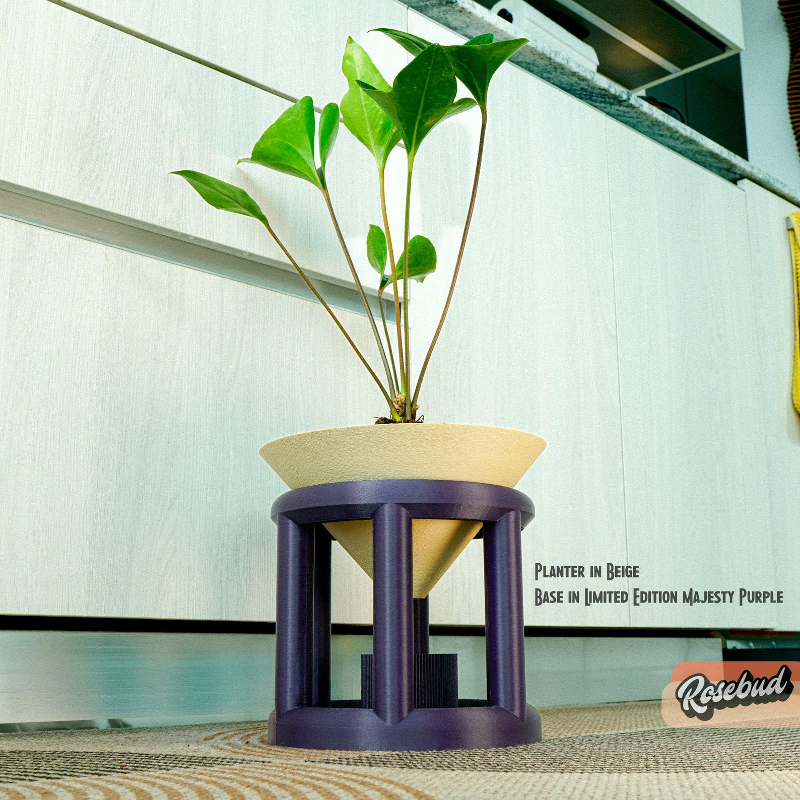 The Conduit Plant Pot With Stand and Water Catch for Indoor Bonsai Pot ...